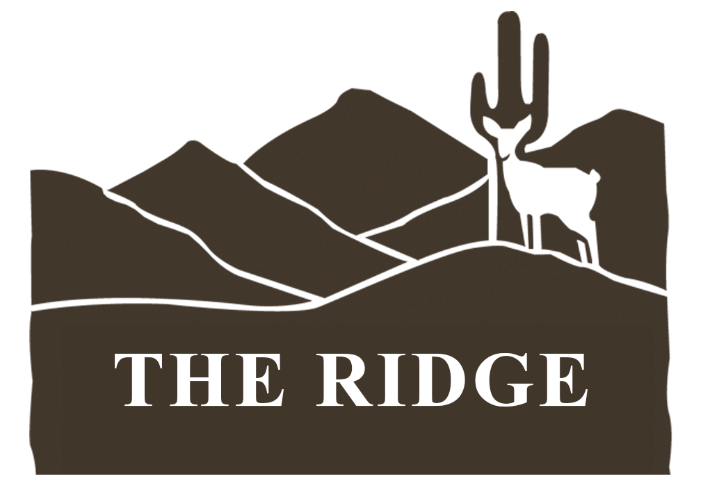 The Ridge - McDowell Mountain Ranch
